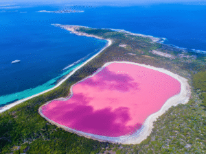Misteri Warna Pink Danau Hillier: Fenomena Alam dan Penelitian Mikroba ...